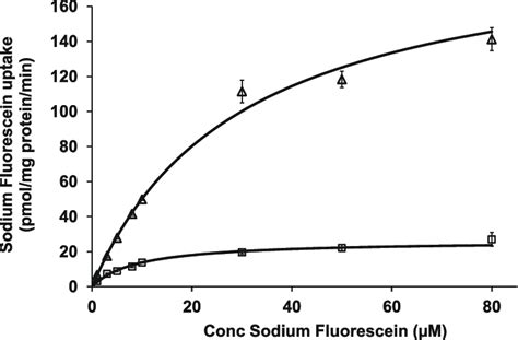 Concentration Dependent Uptake Of Sodium Fluorescein In Download