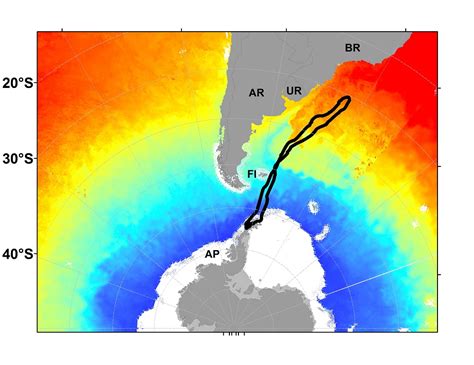 Antarctic Killer Whales Treat Skin With A Tropical Vacation Live Science