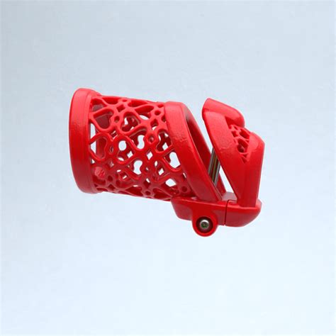 Evotion 3d Printed Custom Male Chastity Devices Plastic Stainless