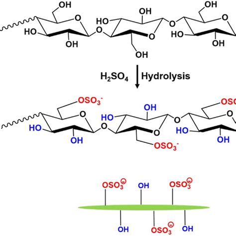 General Structure Of A Sulfonated Melamine Formaldehyde Download