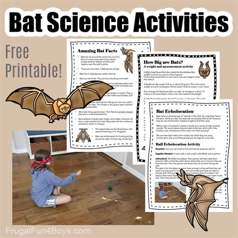 Cool Science Activities With Bats Frugal Fun For Boys And Girls