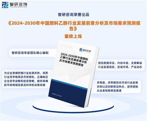燃料乙醇行业市场发展环境运行格局及前景研究报告智研咨询 财富号 东方财富网