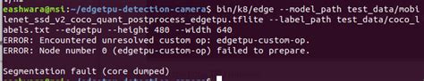 Error Encountered Unresolved Custom Op Edgetpu Custom Op Issue Google Coral Edgetpu