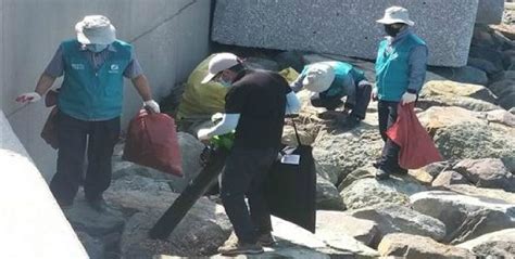 여수해수청 여수 앞바다 해양쓰레기 톤 수거 노컷뉴스