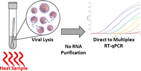 Multiplexed And Extraction Free Amplification For Simplified Sars Cov 2 Rt Pcr Tests