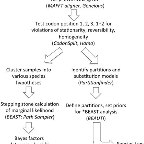 workflow for bayes factor species delimitation of multilocus sequence