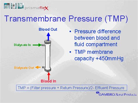 Principles Of Crrt Lhsc