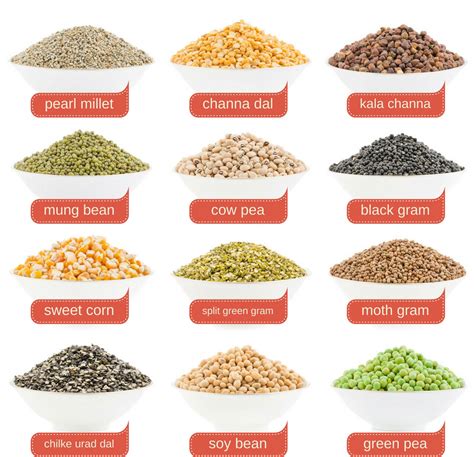 The Indian Vegetarian Diet Buttered Veg