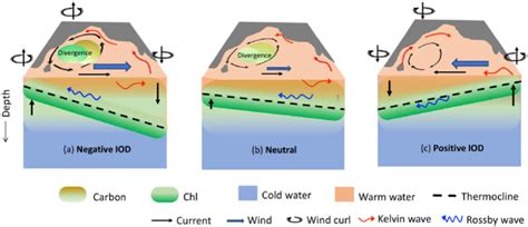 Schematic Of The Effect Of The Three Phases Of The Iod Mode On Oceanic