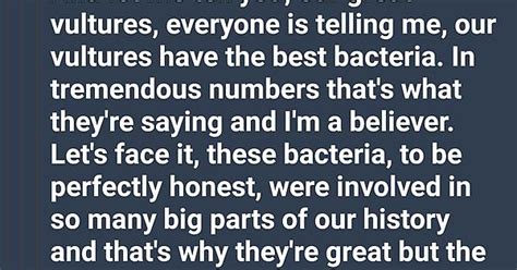 Blumpf Album On Imgur