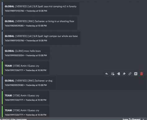 Server Supporter Bot Discord Bots Codefling
