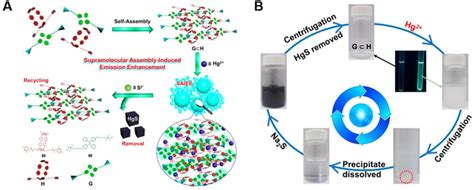 A Supramolecular Assembly‐induced Emission Enhancement Based On Download Scientific Diagram