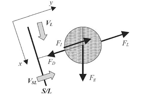 Schematic Representation Of The Forces Acting On A Particle In The