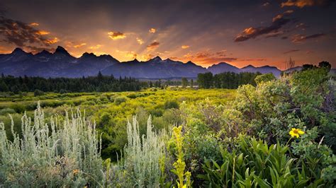1300 Scenery Wallpapers