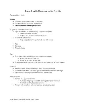 Enzyme Lab Lab Answers With Data Flow Sheet Enzymes Lab Part A 1 Label 5 Test Tubes