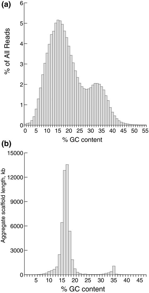 gc content of reads and scaffolds a percentage of gc content is