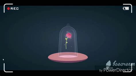 red rose css effect youtube