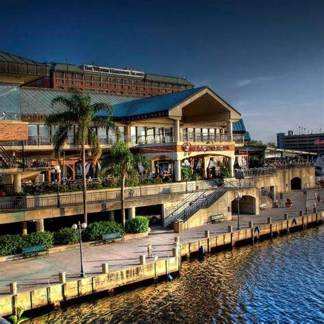 Jacksons Bistro Bar And Sushi Restaurant Tampa Fl Opentable
