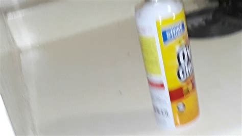 Roach Apartment Complex At Laurence Drake Blog