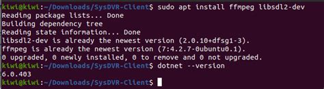 Help Error Loading A Dynamic Library · Issue 208 · Exelix11sysdvr