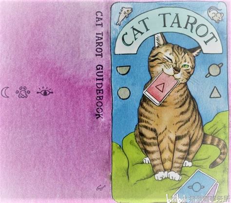 猫猫塔罗牌中文解说第一期