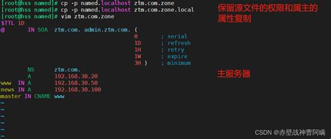 Linux基础DNS服务器原理及搭建 linux dns服务器搭建 CSDN博客
