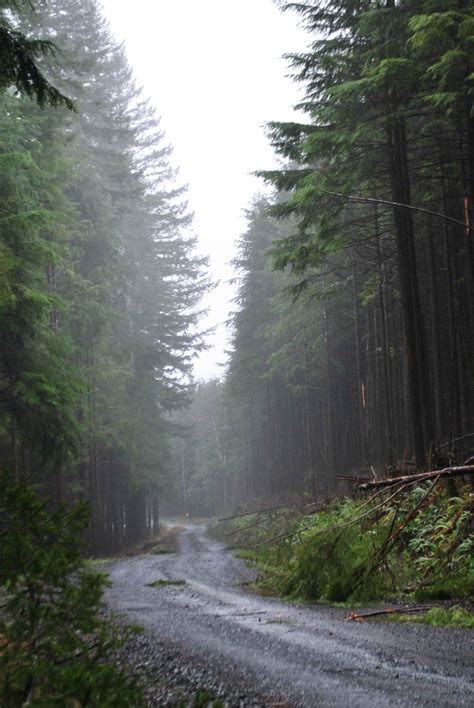 C Line Connector C Line Road Washington Gps Trail Map Conditions And Difficulty Onx Offroad