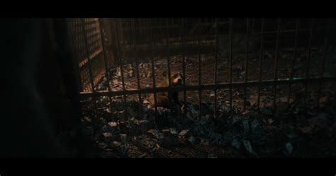 Ruby Gillman Teenage Kraken 2023 Screencap Fancaps