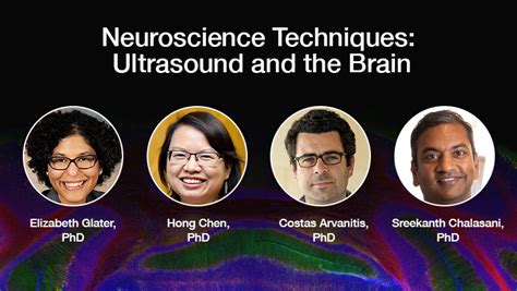 Neuroscience Techniques Ultrasound And The Brain