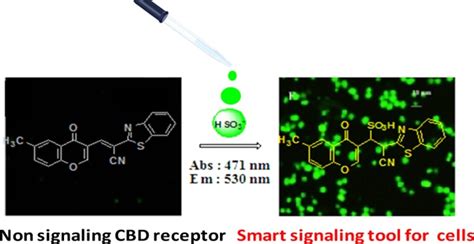 Detection Of Hso3 A Rapid Colorimetric And Fluorimetric Selective Sensor For Detecting