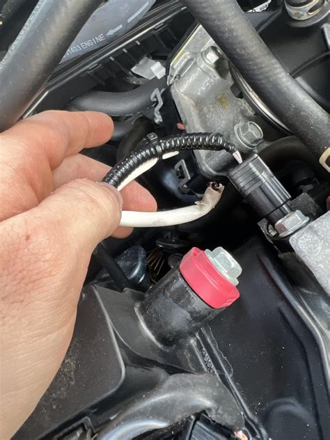 Any help identifying the cut white wire? : r/MechanicAdvice