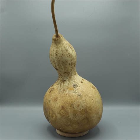 Feng Shui Kalebasse Deutscher Anbau Cmart · Feng Shui Shop