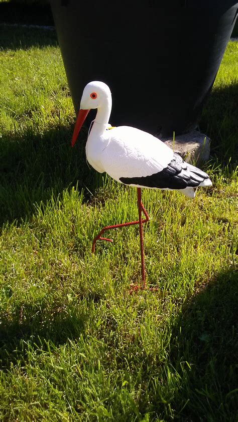 Bocian Mały 1 Sklep Adax