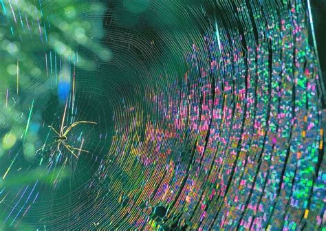 Salian Code10028265 Follow Us On Instagram Salianofficial Facebook