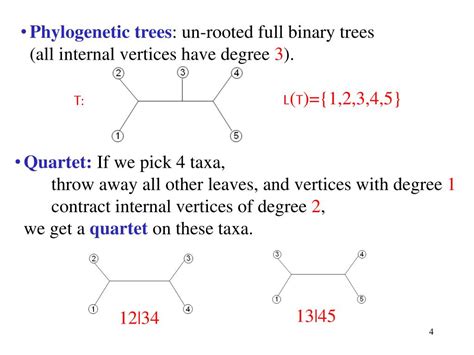 Ppt Reconstructing Approximate Phylogenetic Trees From Quartet