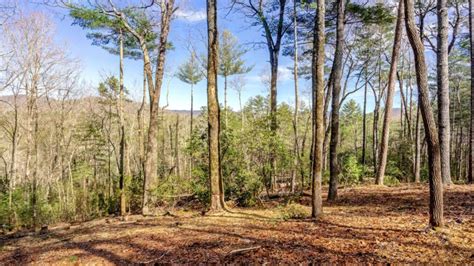 Tr 1 Old Anderson Creek Ellijay Ga 30536