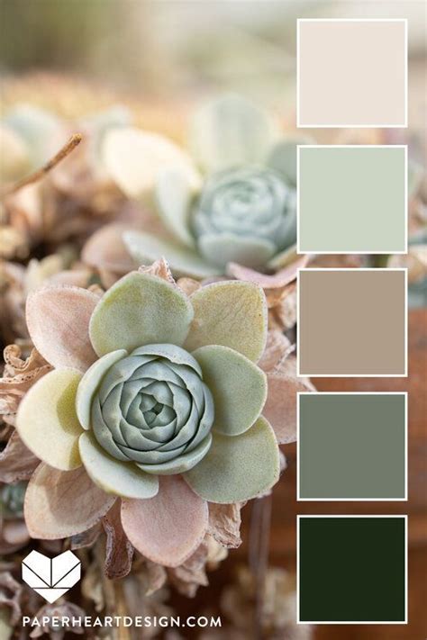 Color Codes Soft Color Code Artofit Color Codes Soft Color Code Artofit