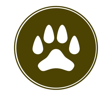 Dung Beetle Derby Racin Africa`s Strongest Insect