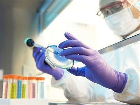 Virus Vs Bacteria What Is The Difference Merriam Webster