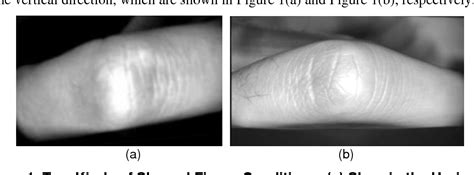 Figure 1 From A New Finger Knuckle Print Roi Extraction Method Based On
