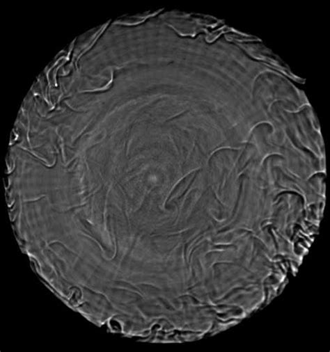 Large Scale Circulation Of Turbulent Convection In A Quasi Two