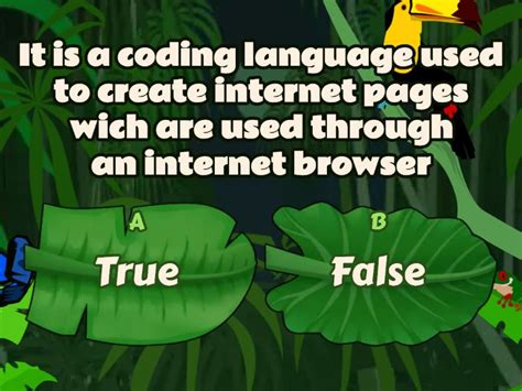 html quiz