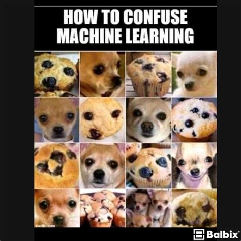 Are Machine Learning Memes Lying To You A Mathematica Investigation
