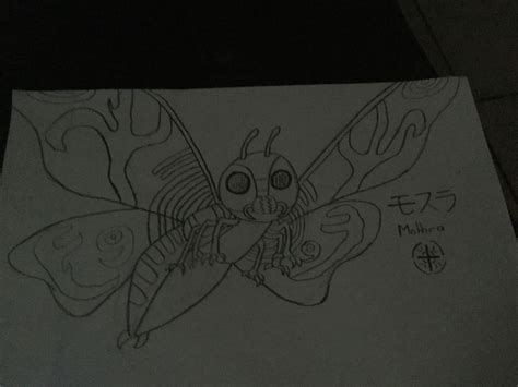 Mothra Showa Drawing By Gojirafan1995 On Deviantart