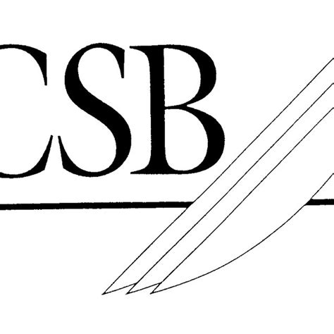Self Organizing Algorithm Schematically Presented Panel 1 Initial