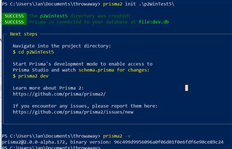 Minor Ui Issue With `init` Flow · Issue 480 · Prismaprisma · Github