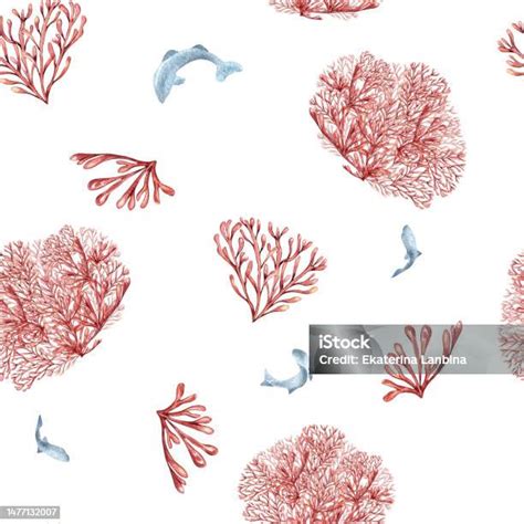 바다 식물의 매끄러운 패턴 흰색 배경에 격리된 산호 수채화 핑크 한천 한천 해초와 물고기 손으로 그린 패키지 섬유 종이 포장 해양 수집을위한 디자인 요소 0명에 대한 스톡