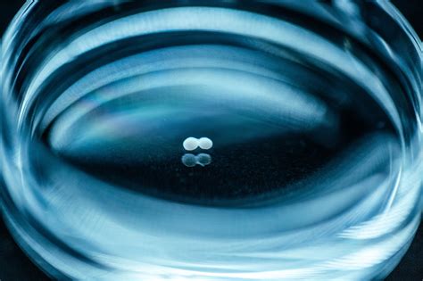 Assembloid Models Usher In A New Era Of Brain Science Stanford Medicine