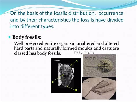 Types Of Fossils And Uses Pptx
