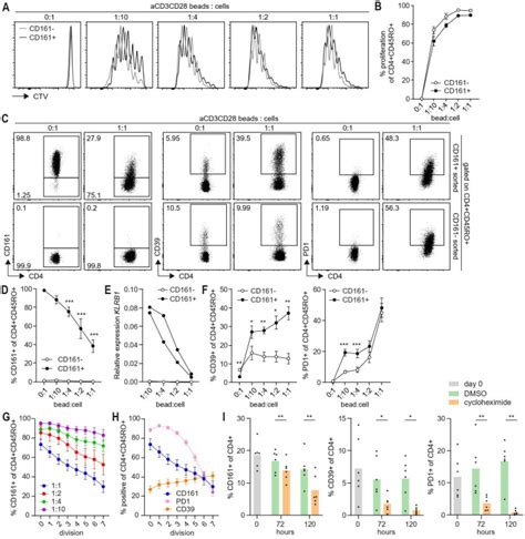 Cd161 Expression And Regulation Defines Rapidly Responding Effector Cd4